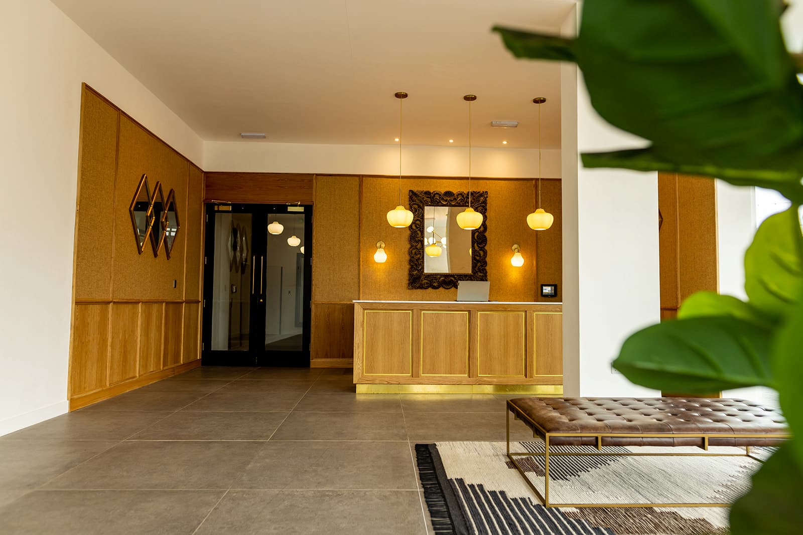 January 2024 Offer - 50% Off - JQ Modern